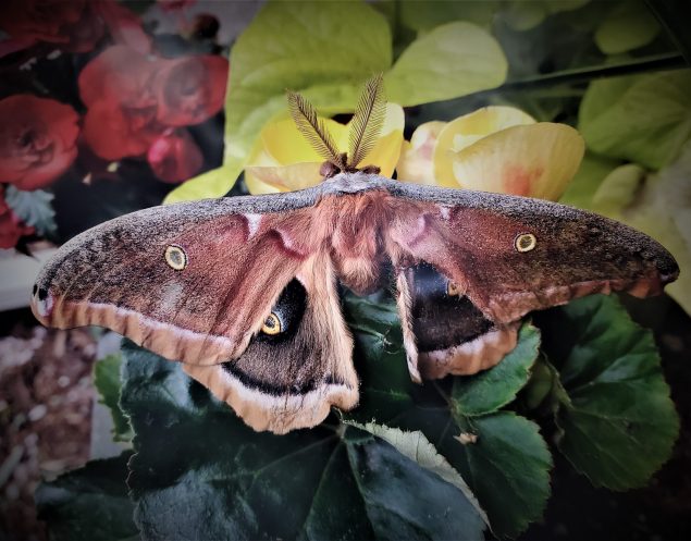 Innovating LED Lighting Solutions for Every Space - ThinLight Technologies